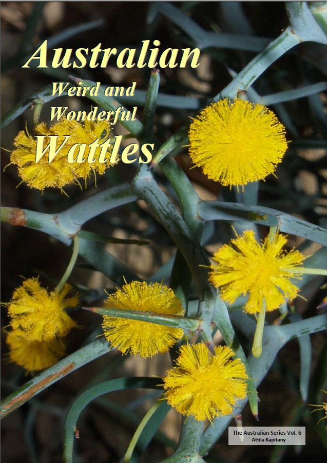 Australian Succulents - Australian native plant series