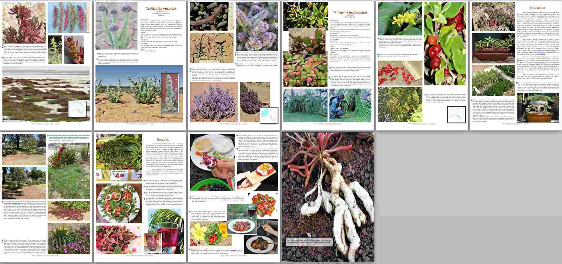 What Flowers Are Edible In Australia at Marvin Wolbert blog